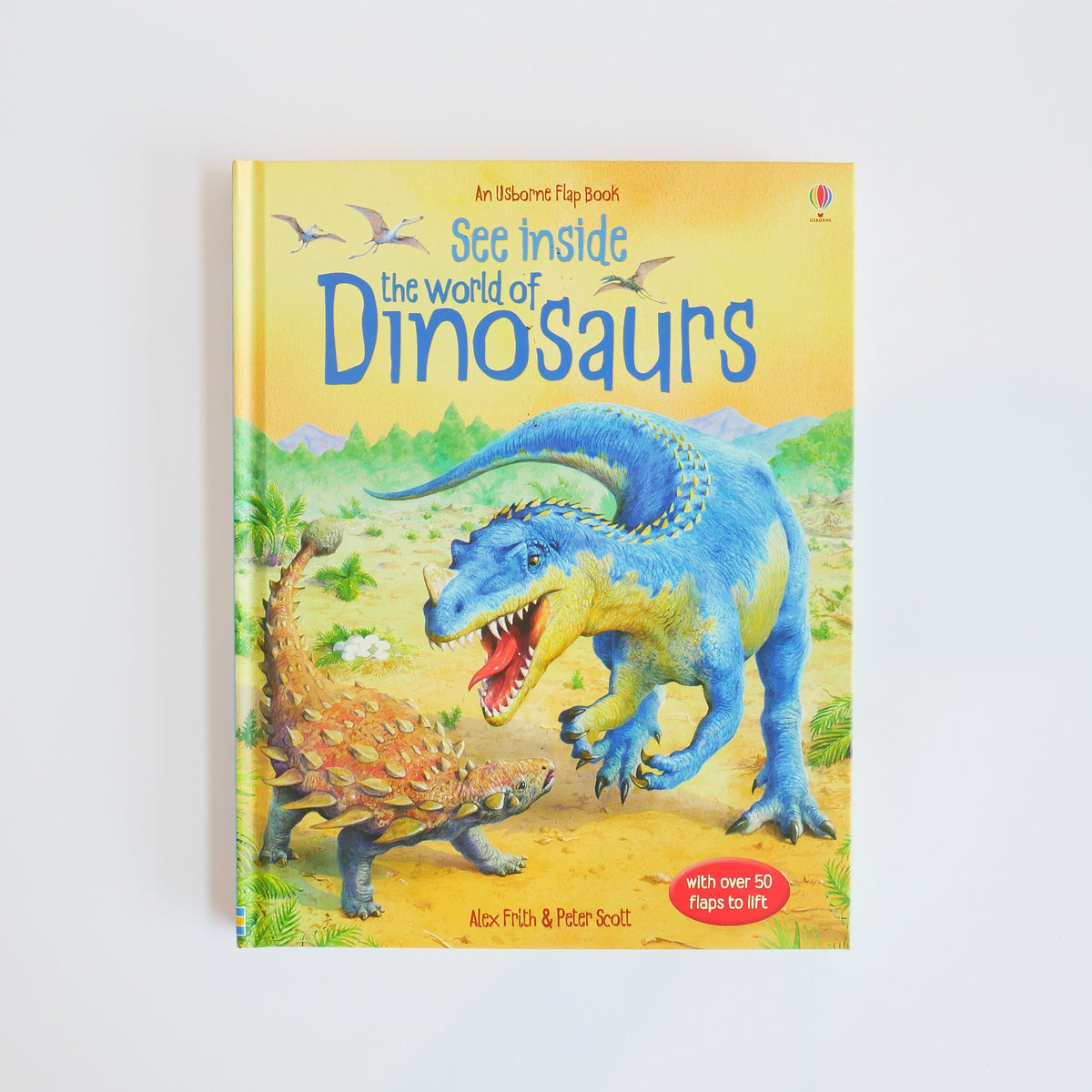 Usborne: Lift-the-Flap. LTF. – The Addington Store
